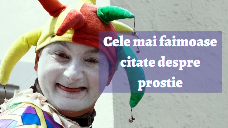 The most famous 100+ quotes about stupidity - Eheyo